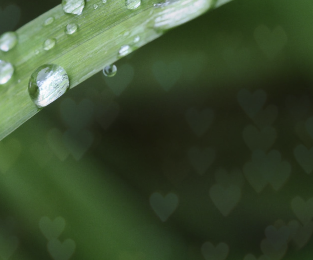 Lay Your Heart Down on the Earth: A Wild Woman Equinox Practice ~ Chris ...