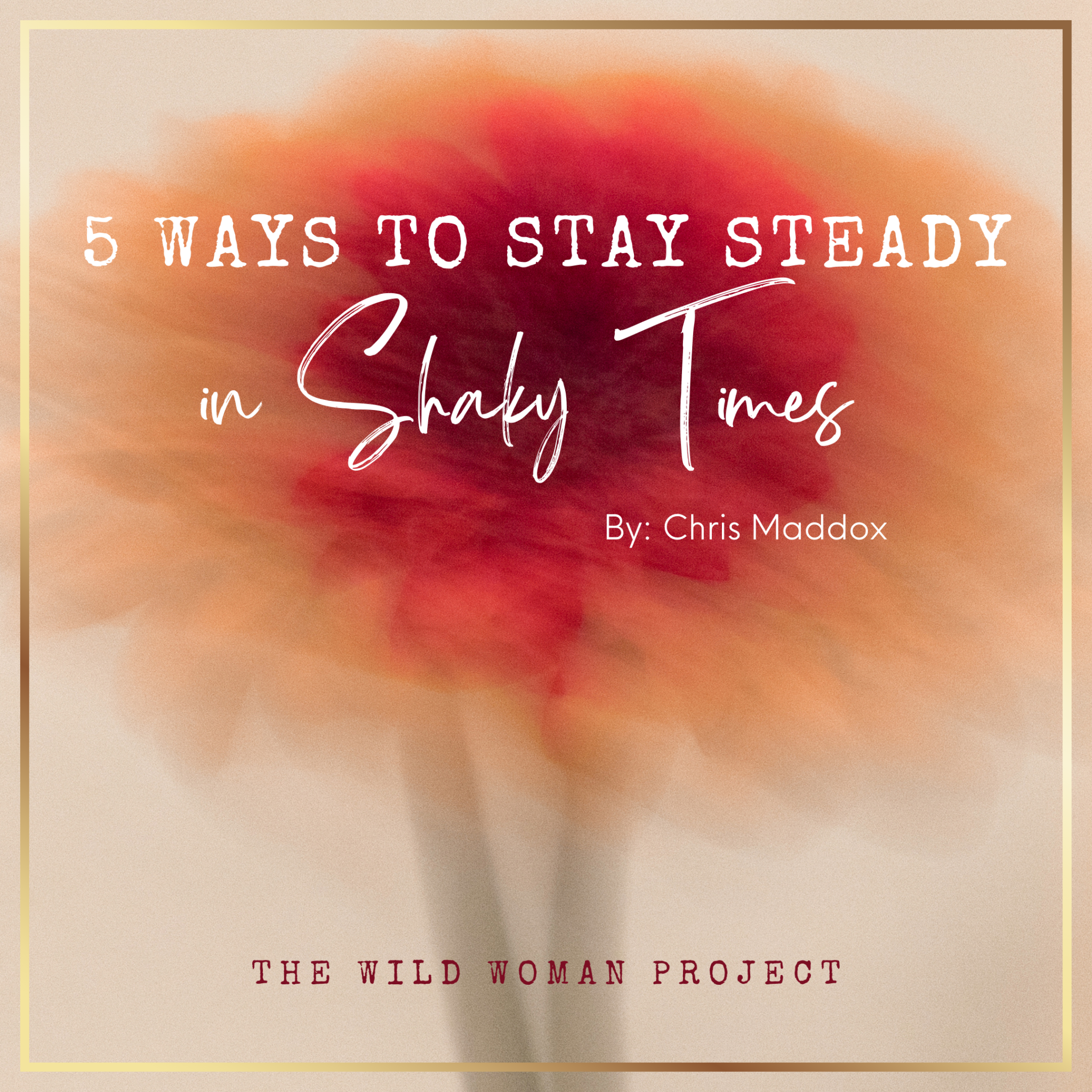 5 Ways to Stay Steady in Shaky Times - The Wild Woman Project: Women's ...